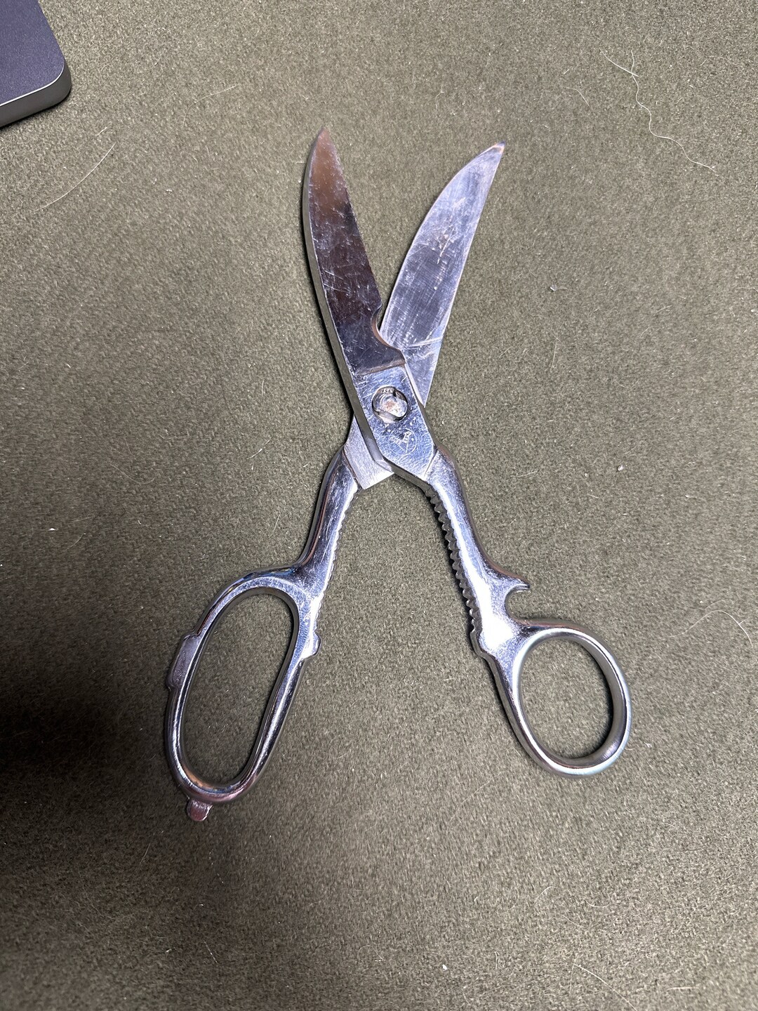 Italian Poultry Shears #0205 - Etsy