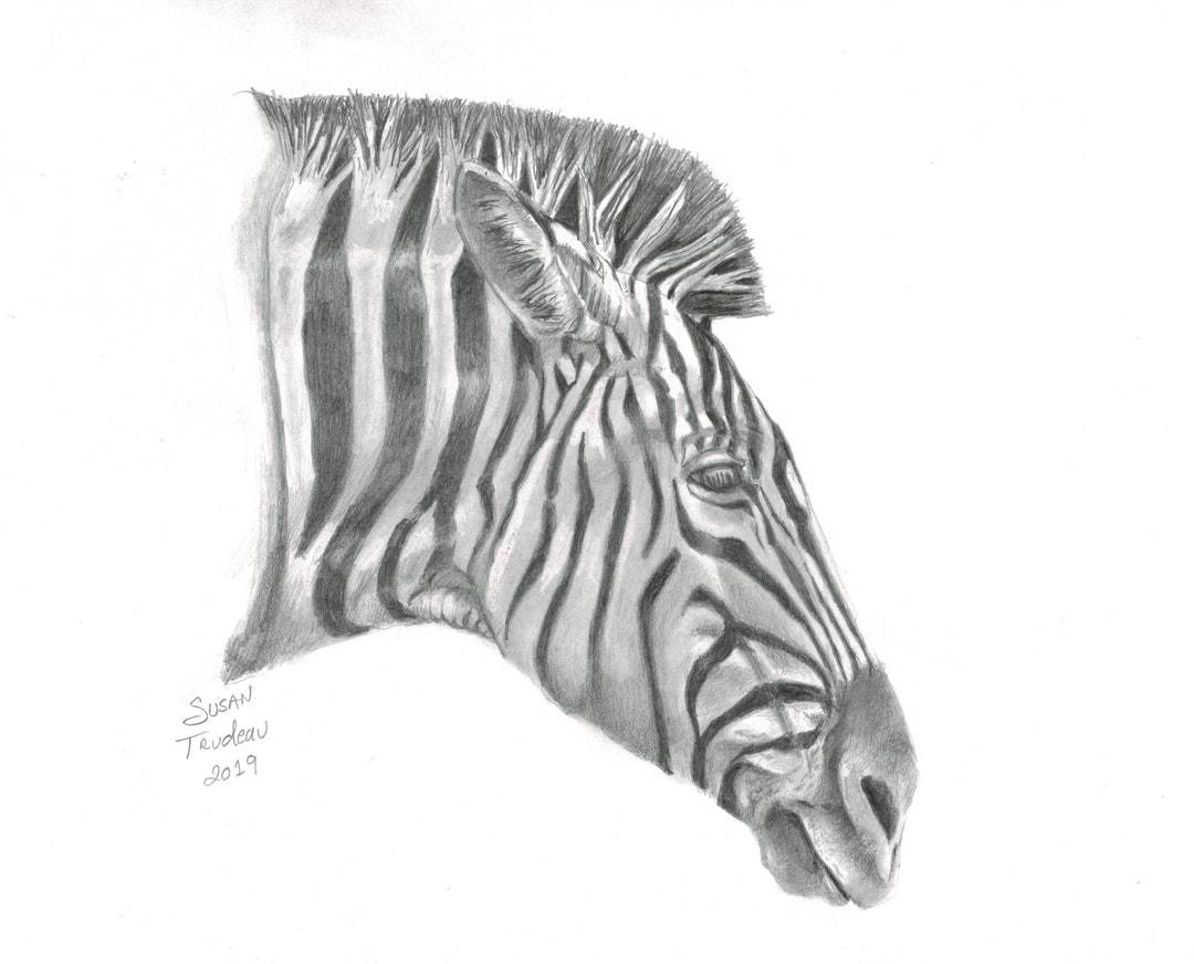 Zebra Profile Face-realistic Pencil Original Artwork-realism-drawing ...