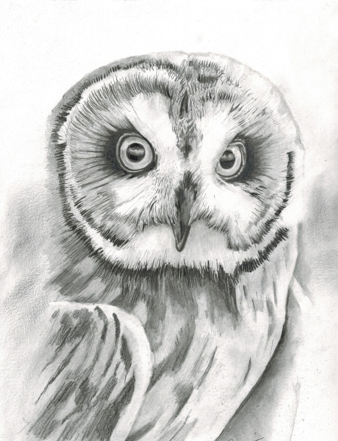 Owl Face-realistic Pencil Original Artwork-realism-drawing-art-animal ...
