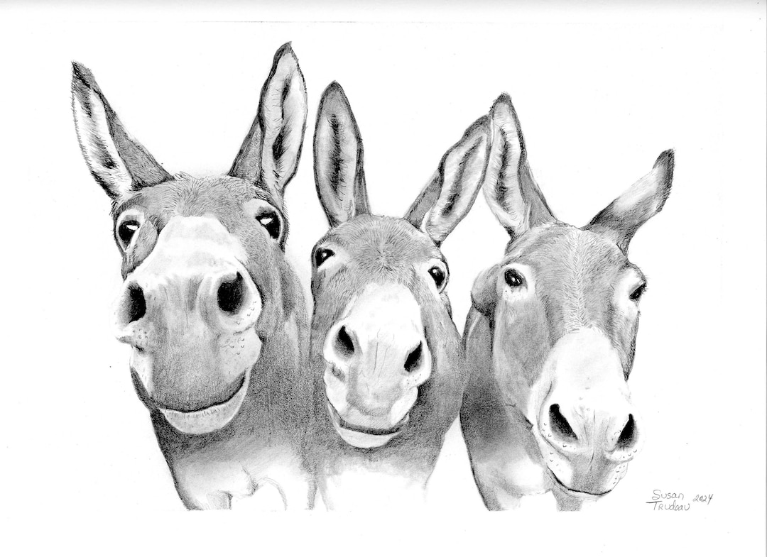 Realistic Donkey Drawing-three Amigos Donkeys-realistic Pencil Drawing ...