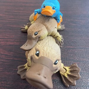3D Printed Blue Platypus Flexible and Poseable - Etsy
