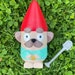 Paint Your Own Husband Hecuba Garden Gnome, Blue Dog, Hammerbarn, Bluey ...