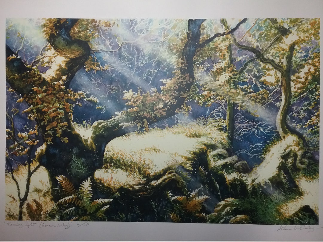 Large Signed Limited Print Morning Light by Andrew Bailey. - Etsy