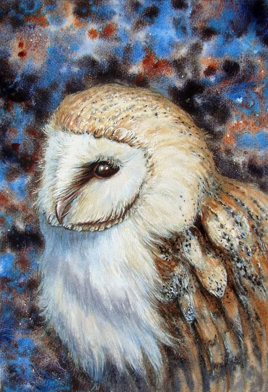 Barn Owl Painting by Andrew Bailey. Signed Limited Print, Owl Picture ...