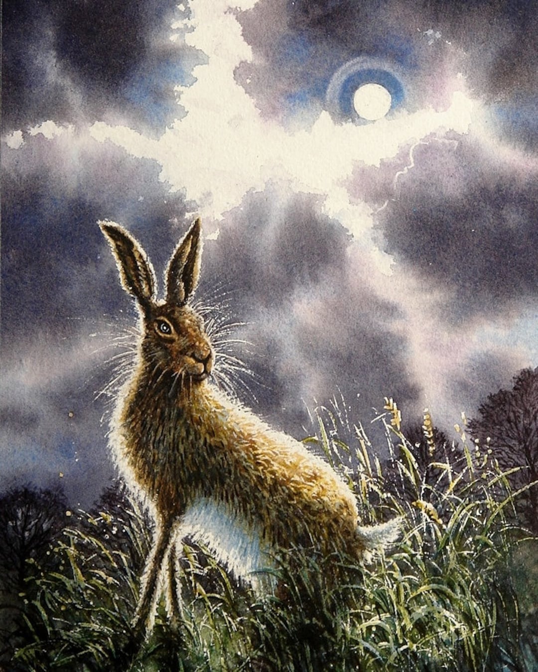 Hare Signed Limited Print by Andrew Bailey. Hare Paintings Watercolours ...