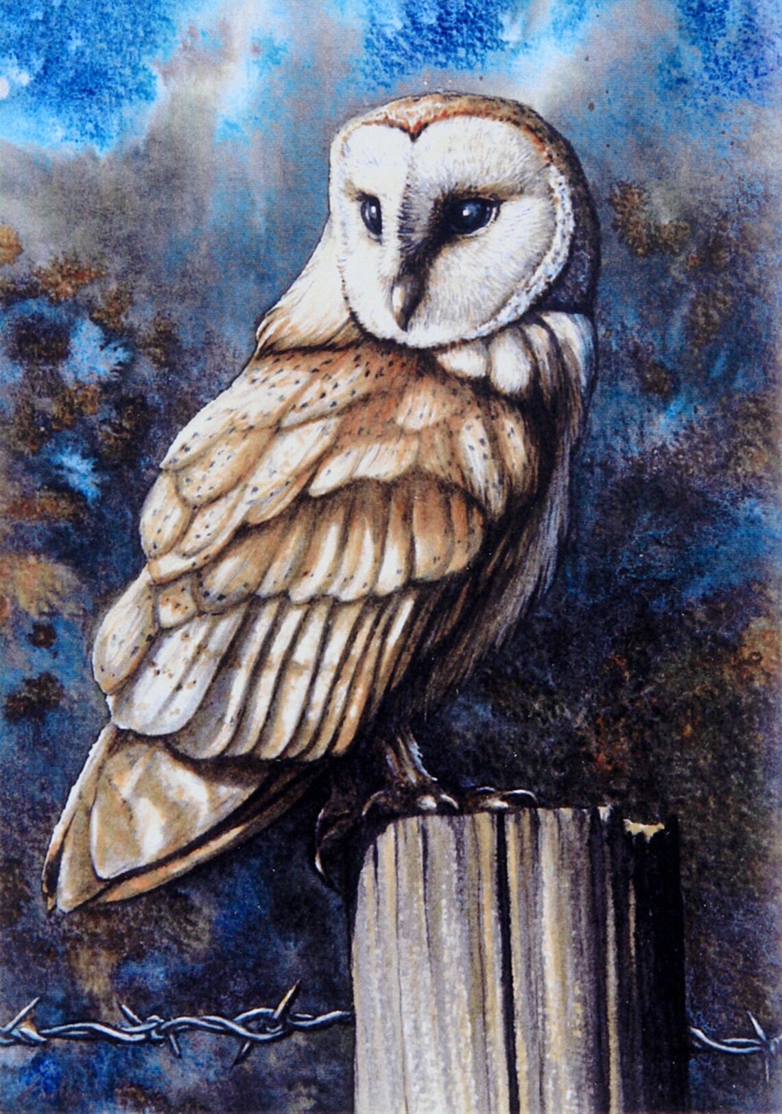 Barn Owl Signed Print, Owl Paintings, Welsh Art by Andrew Bailey ...