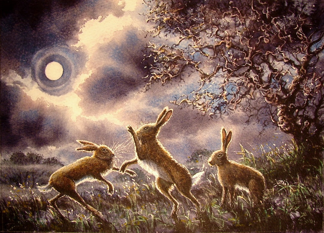 Pack of Three Hare Greetings Card. Blank Inside and Can Pick and Mix ...