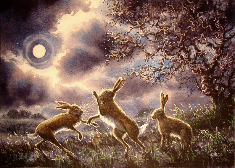 Pack of Three Hare Greetings Card. Blank Inside and Can Pick and Mix ...