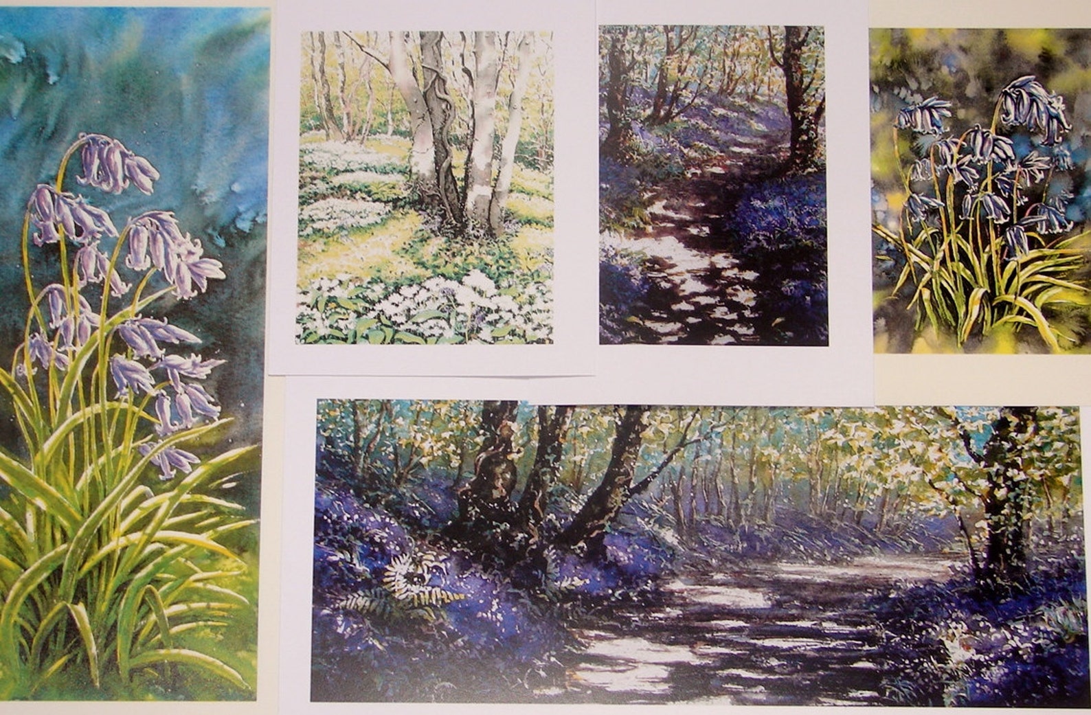 Bluebells! Choose From Five Different Signed Limited Prints by Andrew ...