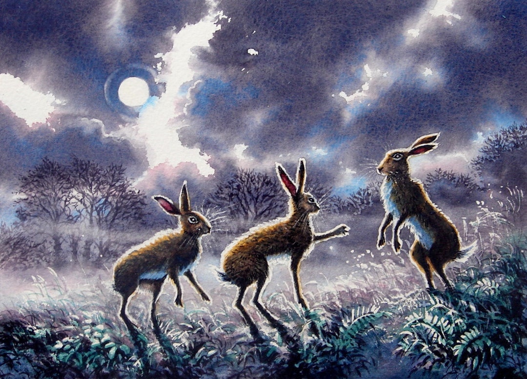 Hare. Hare Signed, Limited Print by Andrew Bailey. Published From ...