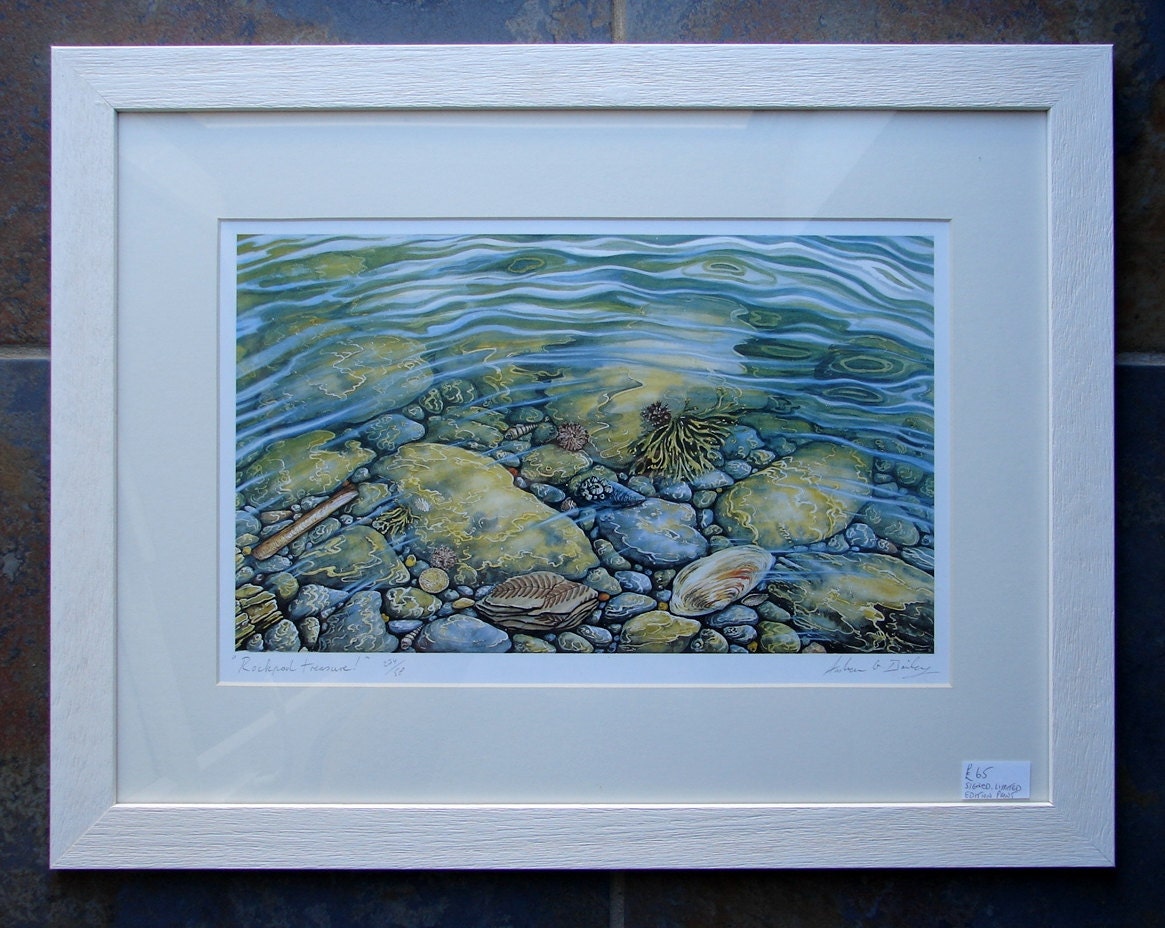 Rockpool Treasure. 2 Sizes Signed and Numbered Lithographic | Etsy UK