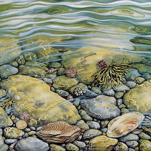 Rockpool Treasure. 2 Sizes, Signed and Numbered Lithographic Print ...