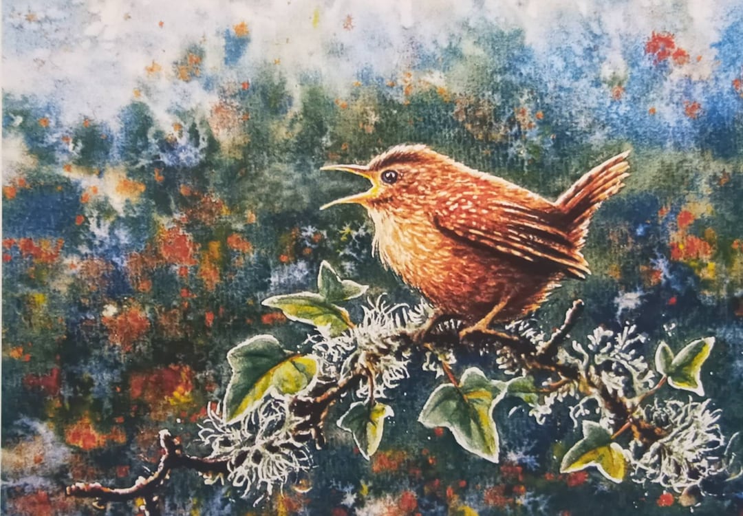 Wren print, signed and numbered. Bird pictures, bird painting, bird ...