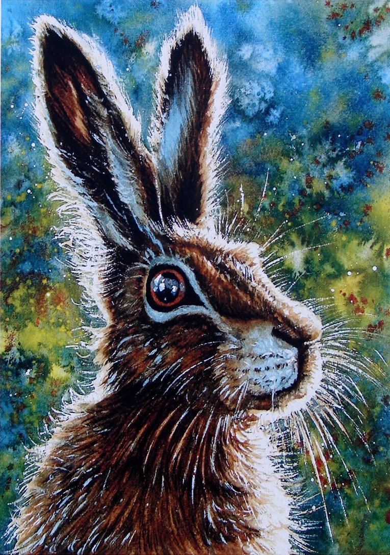HARE Portrait" A Signed, Limited Edition Print by Andrew Bailey. Hare ...