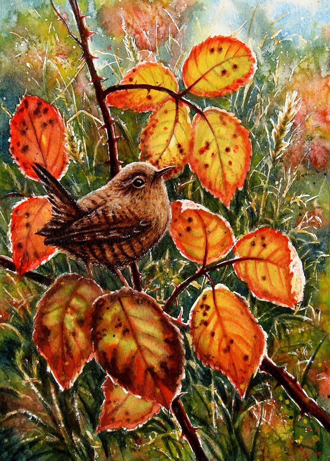 Wren and Autumn Brambles, Signed and Limited Print. Birds, Hares ...