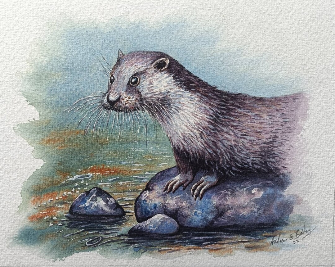 Original Otter Painting, Watercolour Original. Andrew Bailey Art. Welsh ...