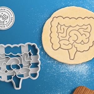 Anatomical Intestines Cookie Cutter – Anatomical Cookie Cutter Anatomy ...