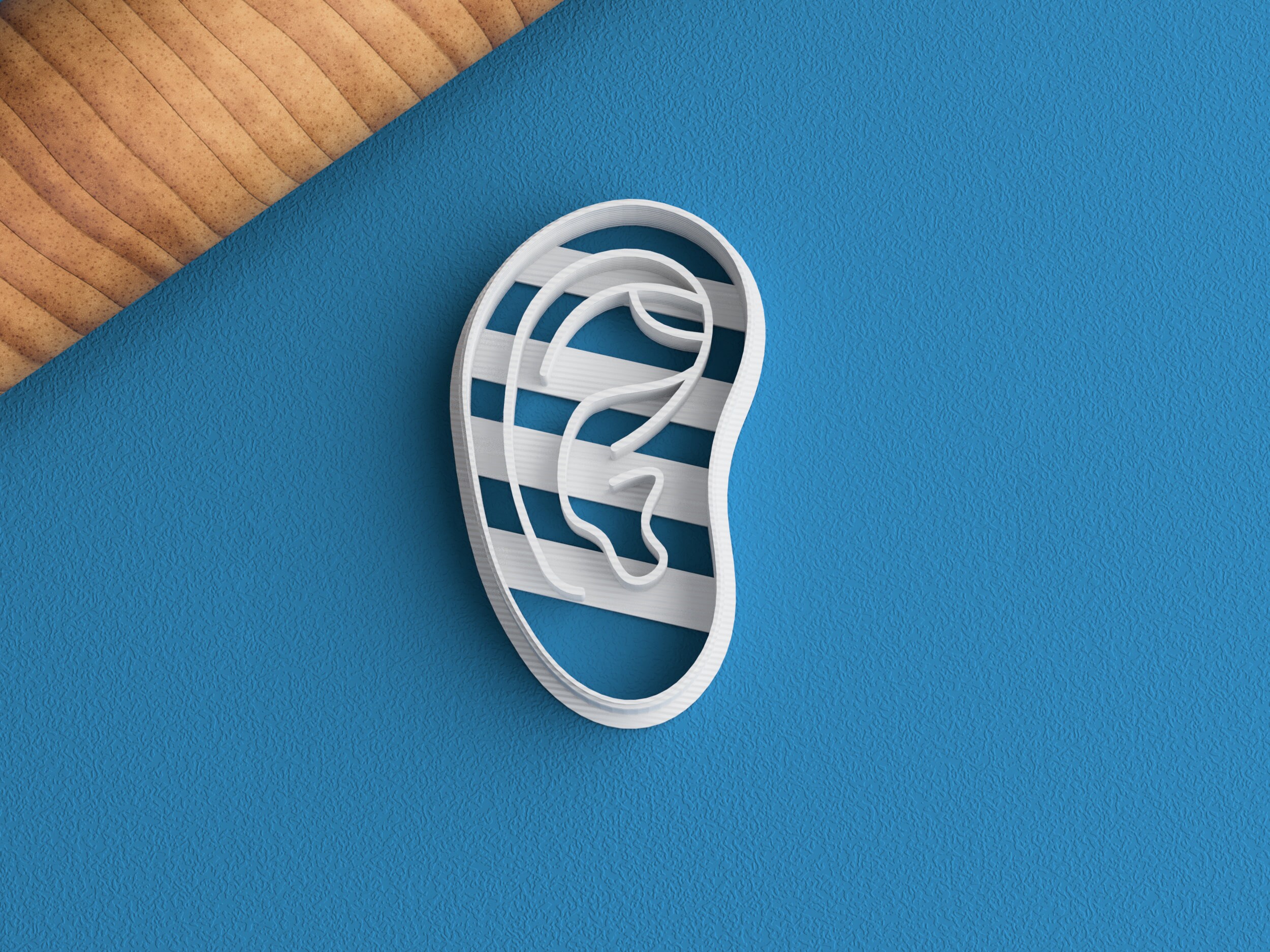 Ear Cookie Cutter Otolaryngology Gift Audiologist Gift | Etsy