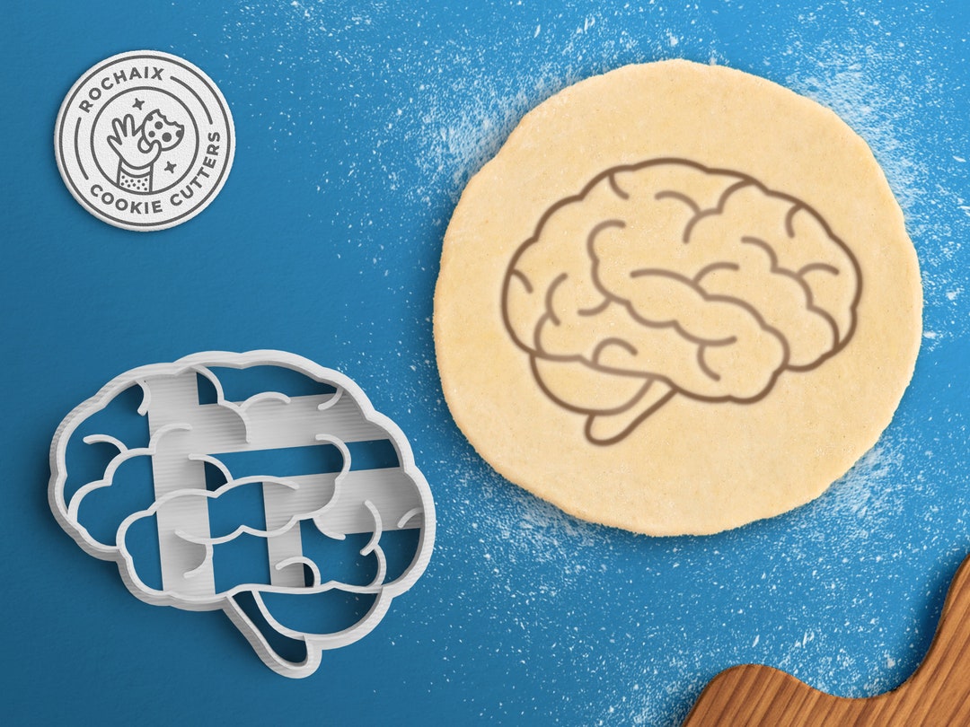 Anatomical Brain Cookie Cutter – Anatomy Cookie Cutter Psychology Gift ...