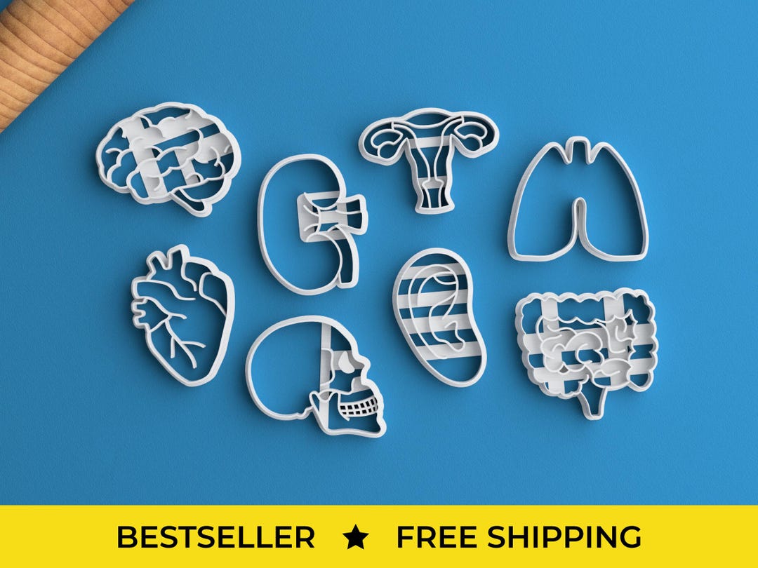 Anatomy Cookie Cutter Set - FREE SHIPPING Medical Student Gift ...