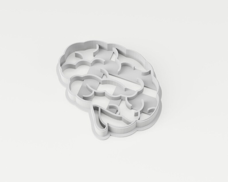 Anatomical Brain Cookie Cutter Anatomy Cookie Cutter | Etsy