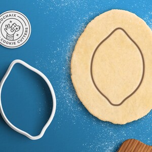 Lemon Cookie Cutter – Lemonade Cookie Cutter Lemon Bottle Cookie Cutter ...