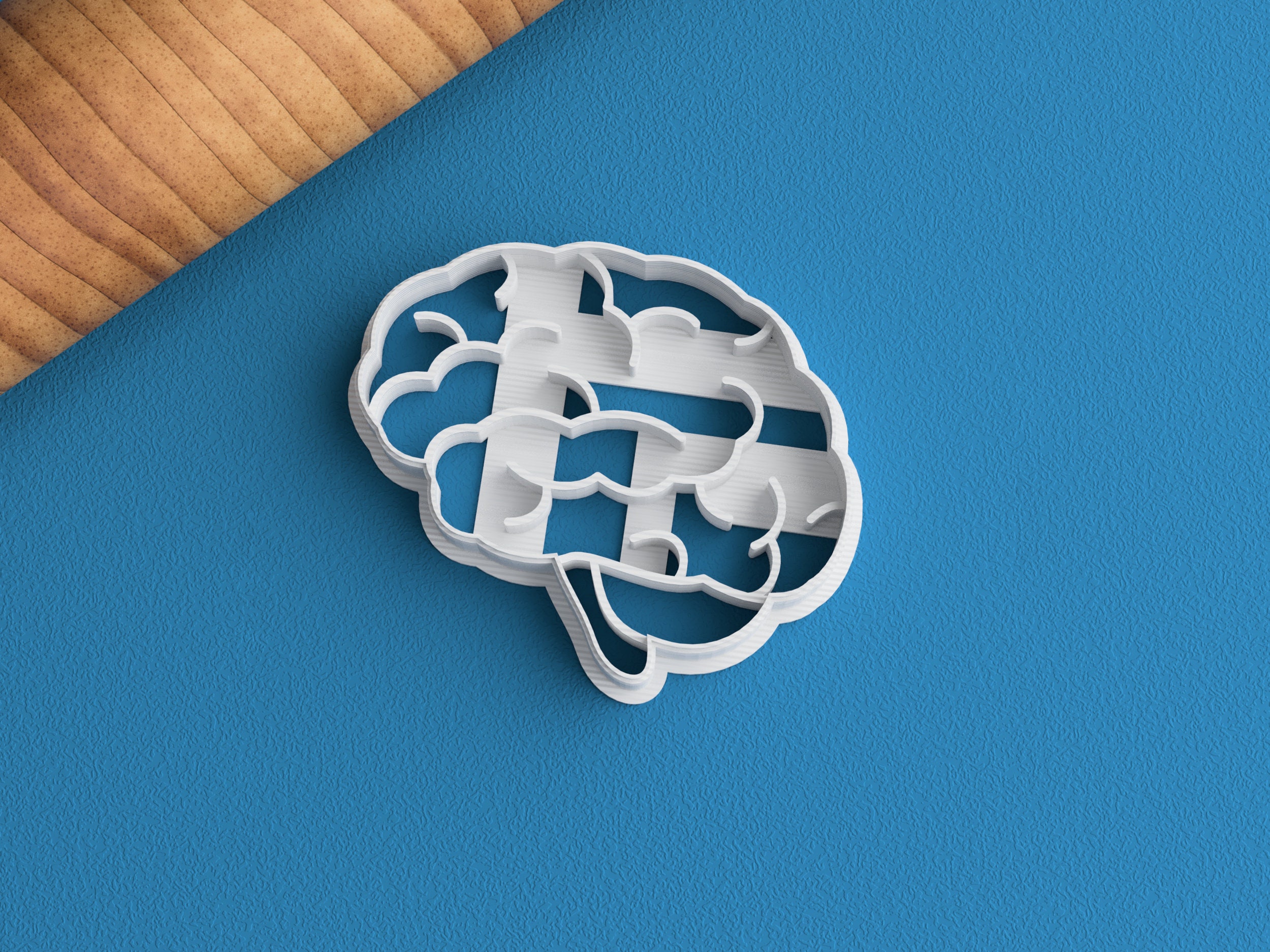 Ear Cookie Cutter Otolaryngology Gift Audiologist Gift | Etsy