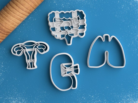Anatomy Cookie Cutter Set Medical Student Gift Anatomical - Etsy