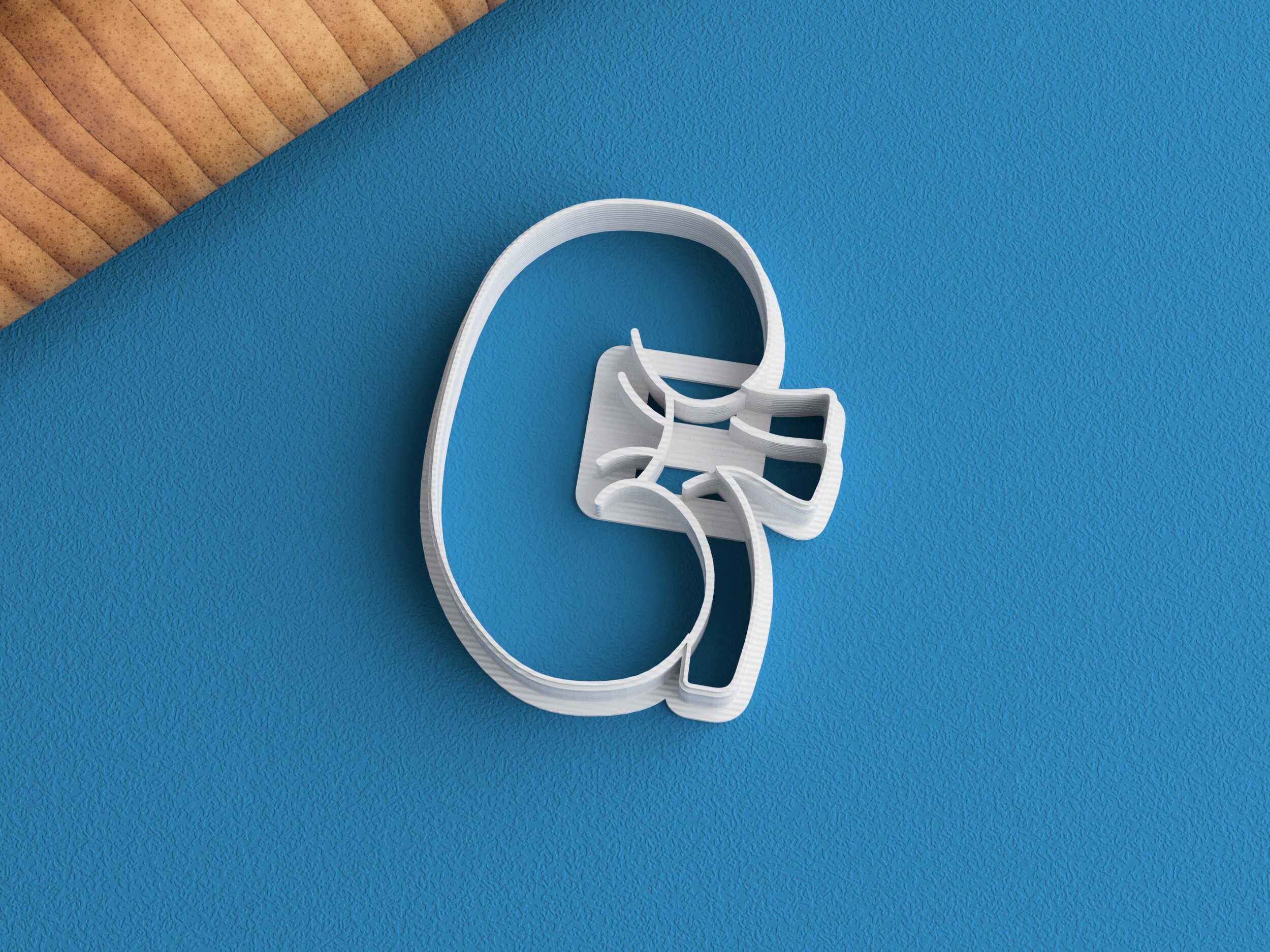 Anatomy Cookie Cutter Set Medical Student Gift Anatomical | Etsy