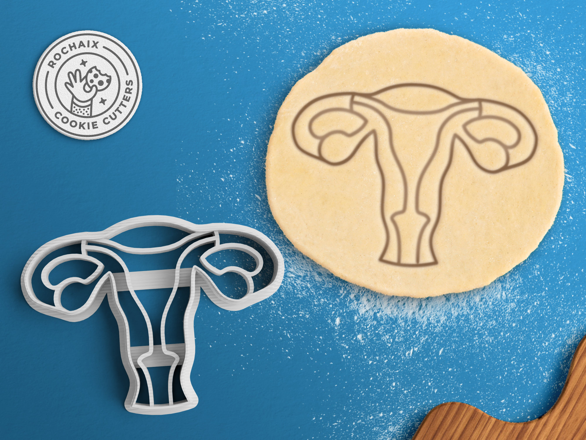 Uterus Cookie Cutter – Feminist Cookie Cutter Feminist Gift ...