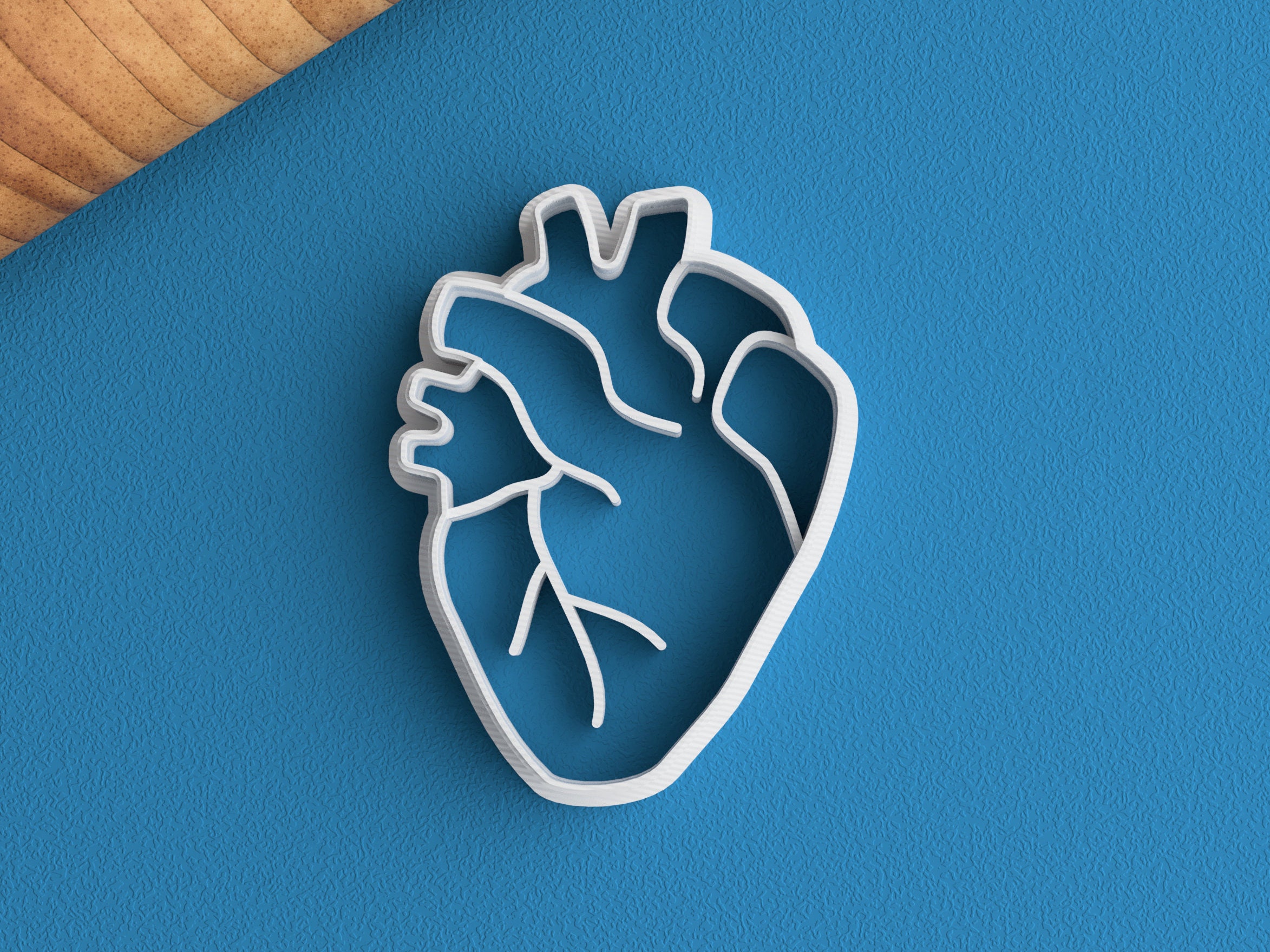 Ear Cookie Cutter Otolaryngology Gift Audiologist Gift | Etsy