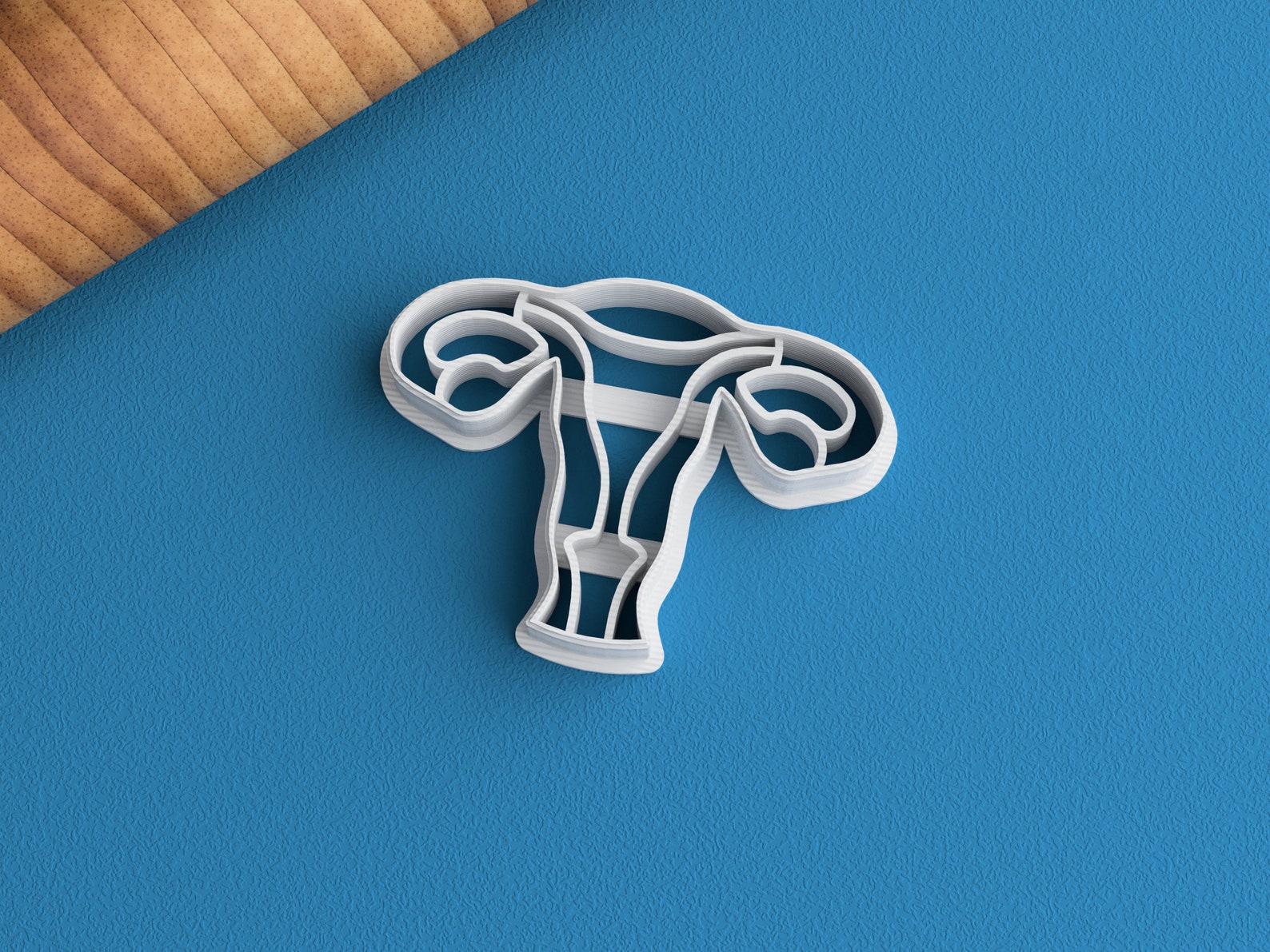 Anatomy Cookie Cutter Set Medical Student Gift Anatomical - Etsy