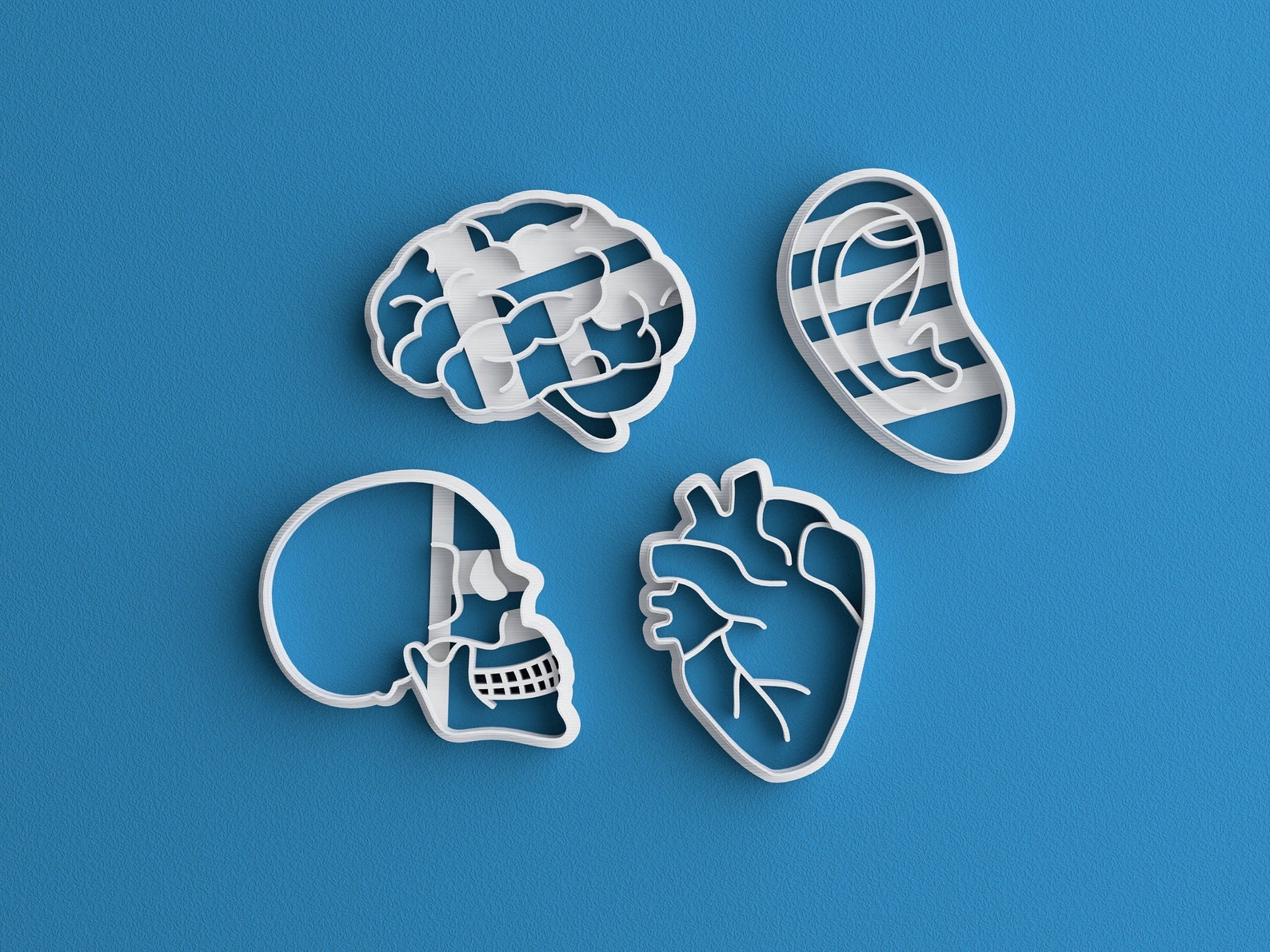 Anatomy Cookie Cutter Set Medical Student Gift Anatomical - Etsy