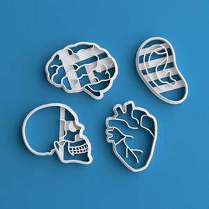 Anatomy Cookie Cutter Set - Medical Student Gift Anatomical Heart ...