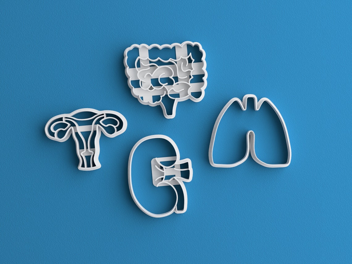 Anatomy Cookie Cutter Set Medical Student Gift Anatomical - Etsy