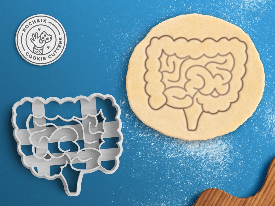 Anatomical Intestines Cookie Cutter – Anatomical Cookie Cutter Anatomy ...