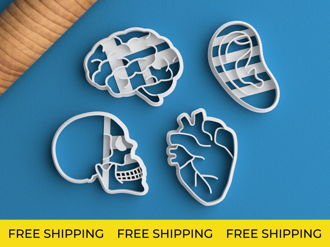 Anatomy Cookie Cutter Set FREE SHIPPING Medical Student Gift Anatomical ...