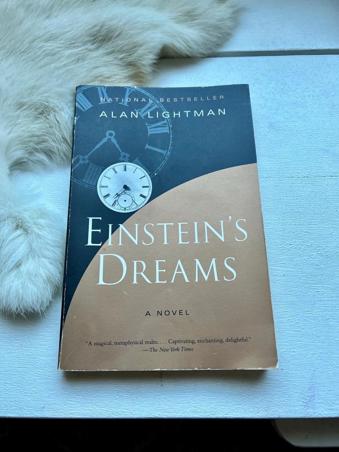 Einstein’s Dreams by Alan Lightman Book Vintage 1993 Physics Literature ...