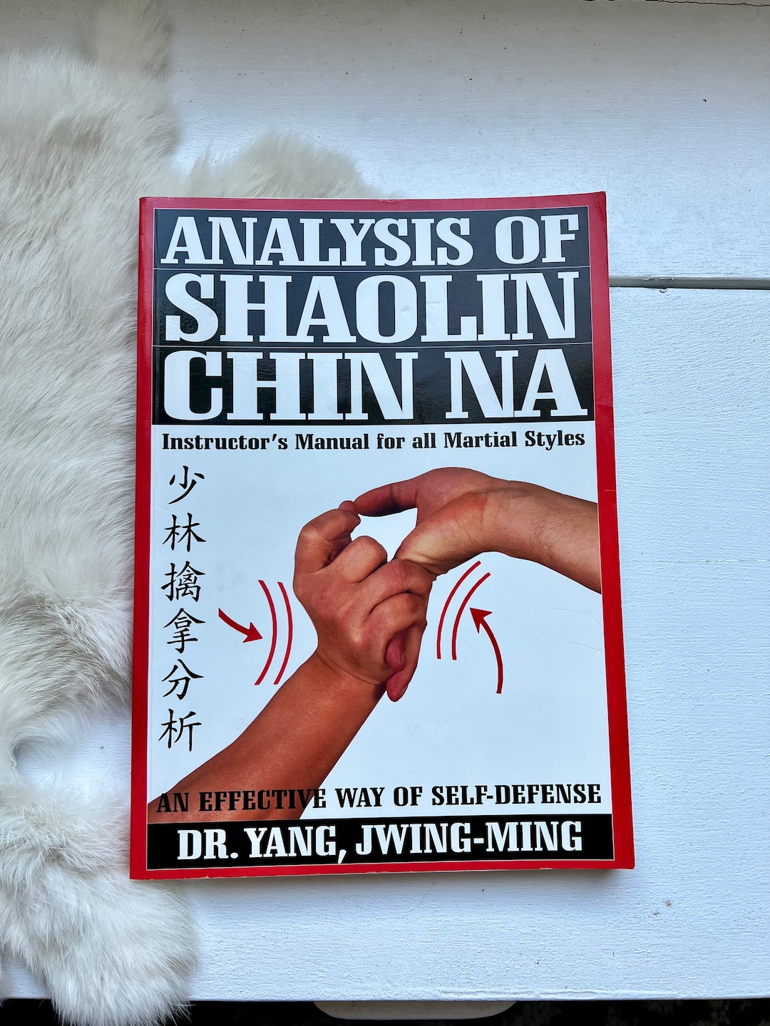 1980 Shaolin Chin Na Book Karate Vintage Kung Fu Combat Tai Chi Book ...