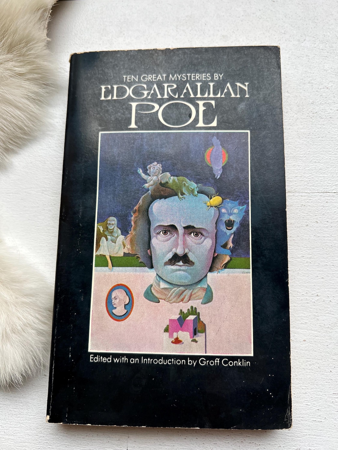 1960 Edgar Allan Poe Book: Ten Great Mysteries, Gothic Horror Poems - Etsy