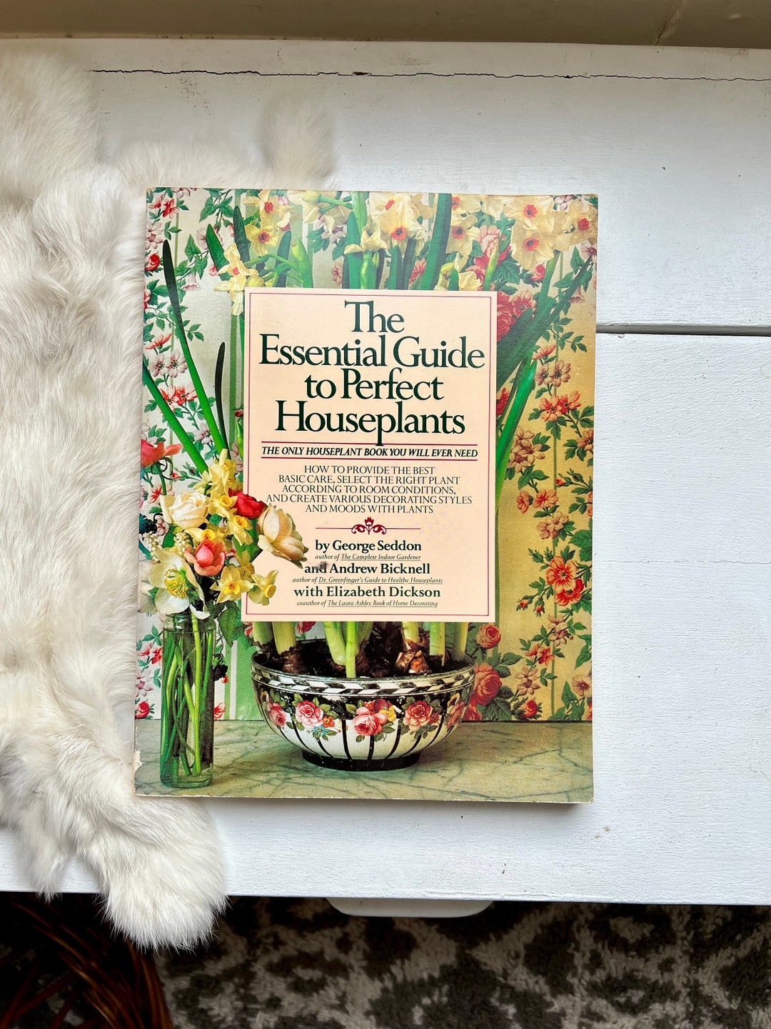 1984 Houseplants Book Guide Indoor Plant Care Guide Palms Fiddle Leaf ...