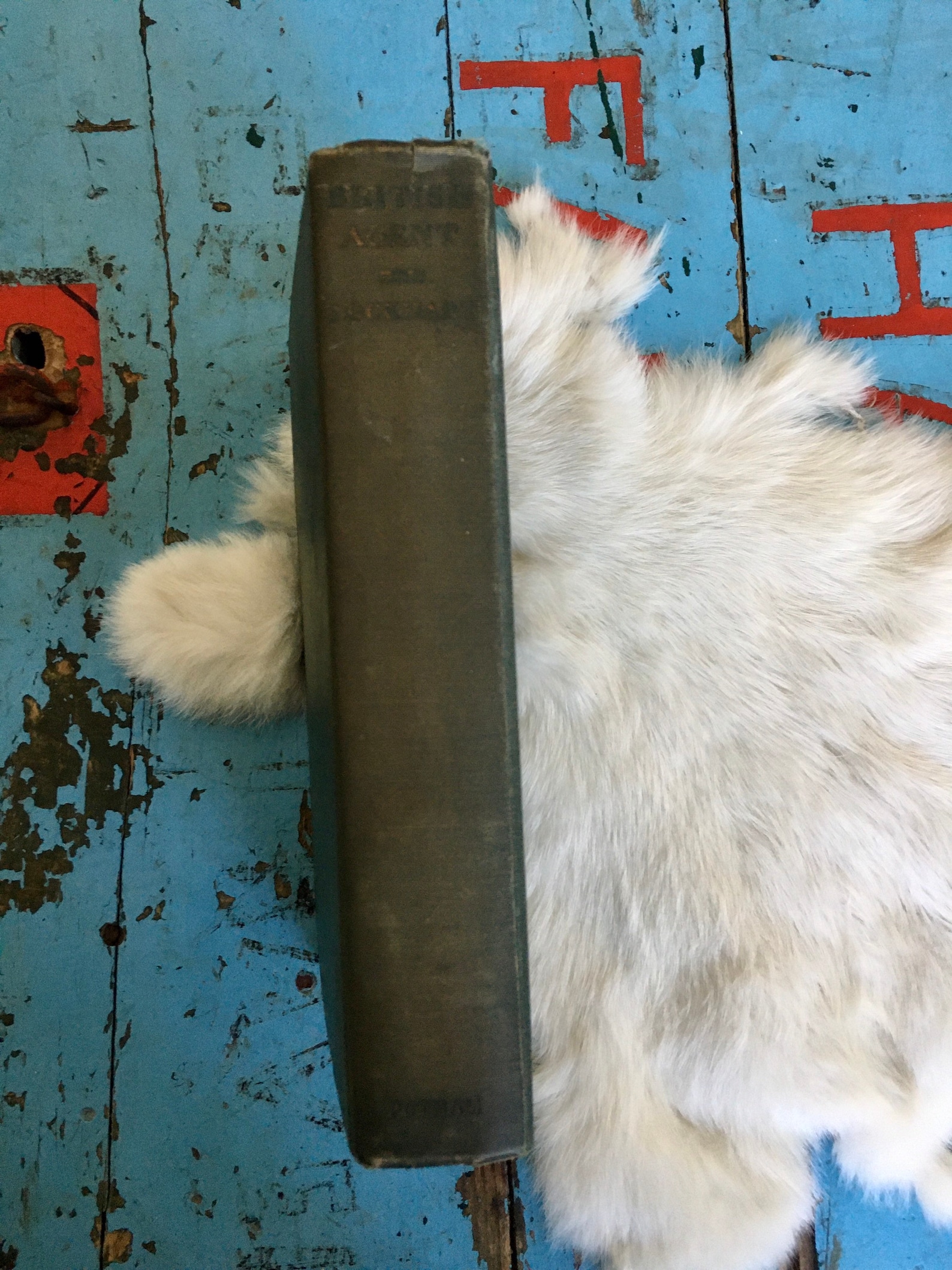 1933 British Agent by R. H. Lockhart Book Retro Vintage | Etsy