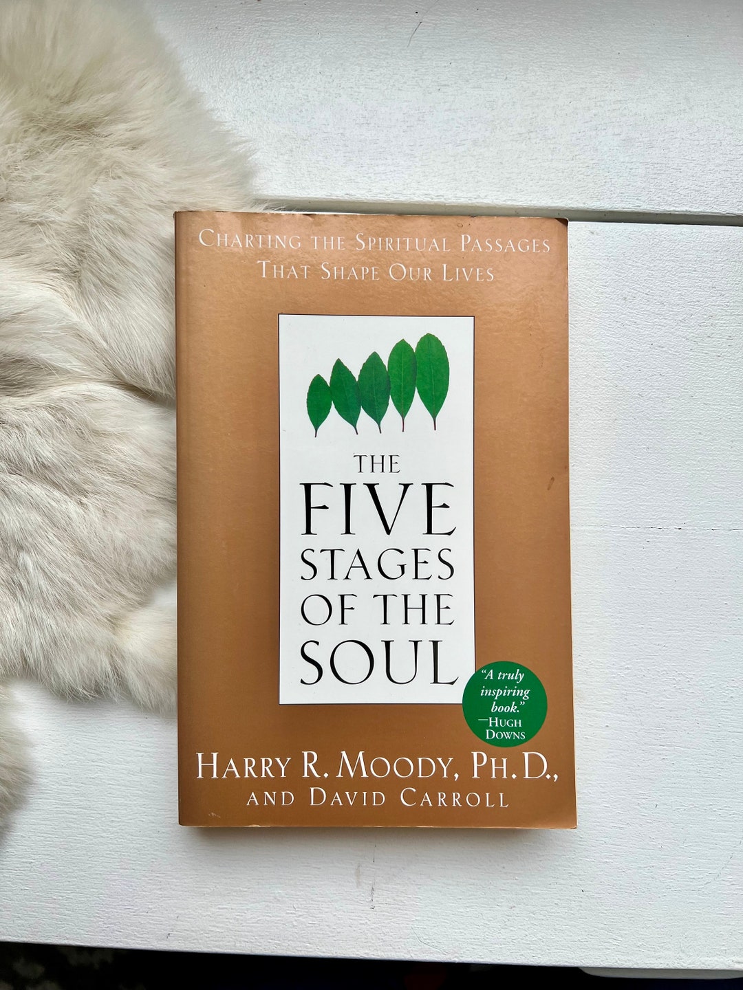 Vintage the Five Stages of the Soul Spiritual Mindfulness Engaged Book ...