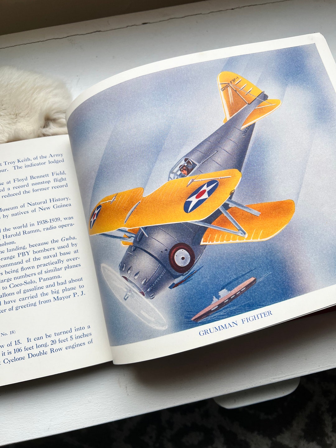 1940 Famous Planes Famous Flights Children Kids Book Airplane Aviation ...