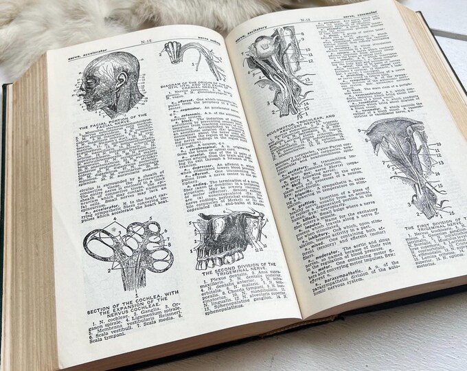 1963 Medical Dictionary Book Taber’s Vintage Doctor Hospital Decor ...