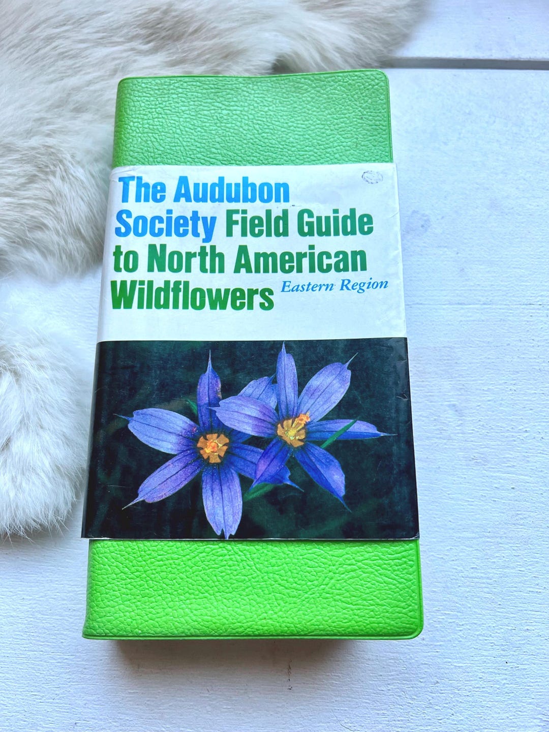 Field Guide North American Wildflower Book Common Flower Pocket Plant ...