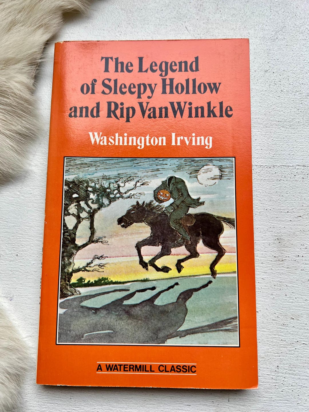 1980 Legend of Sleepy Hollow & Rip Van Winkle Book: Washington Irving ...