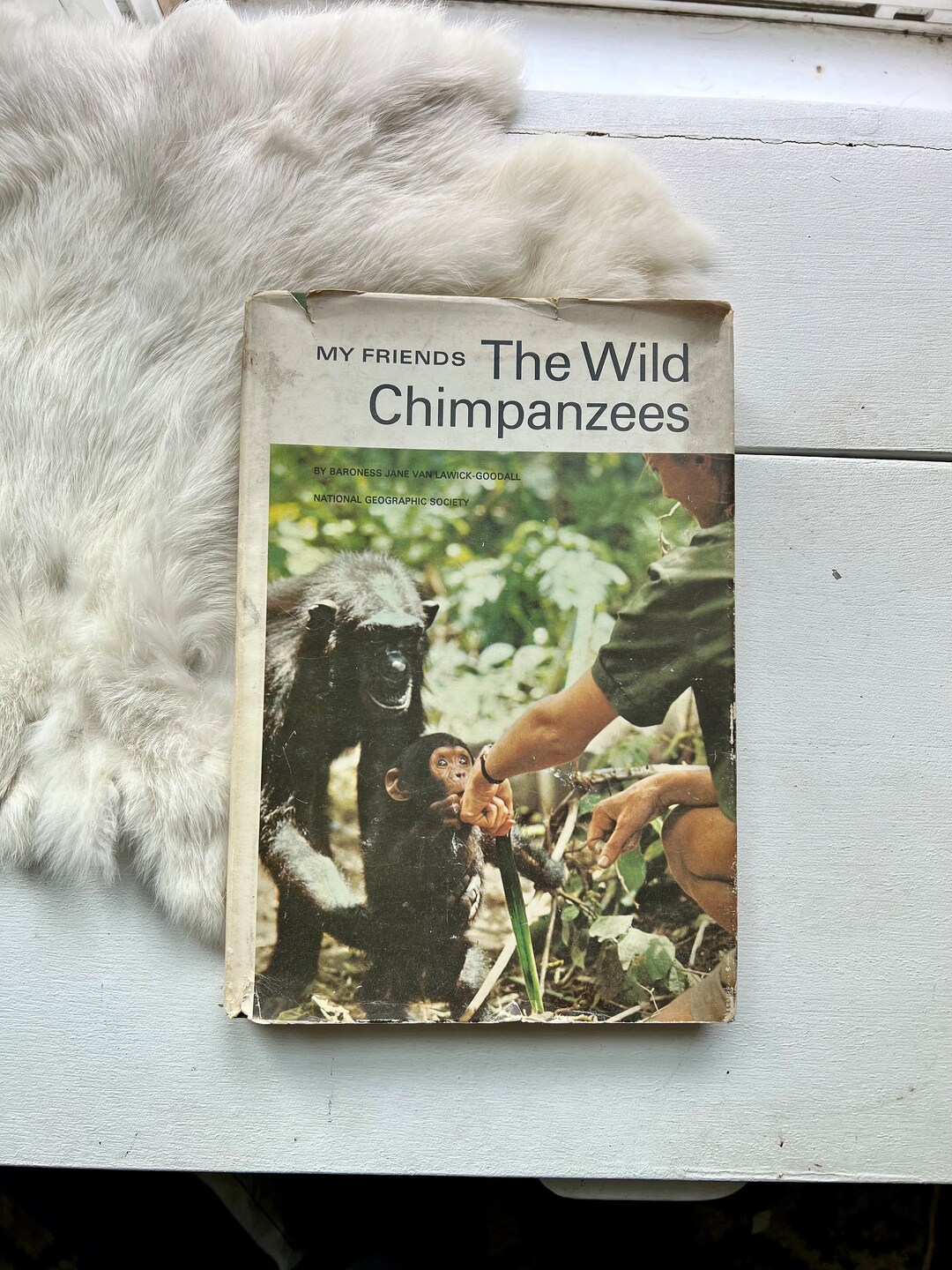 1967 Jane Goodall My Friends the Wild Chimpanzees 1960s - Etsy