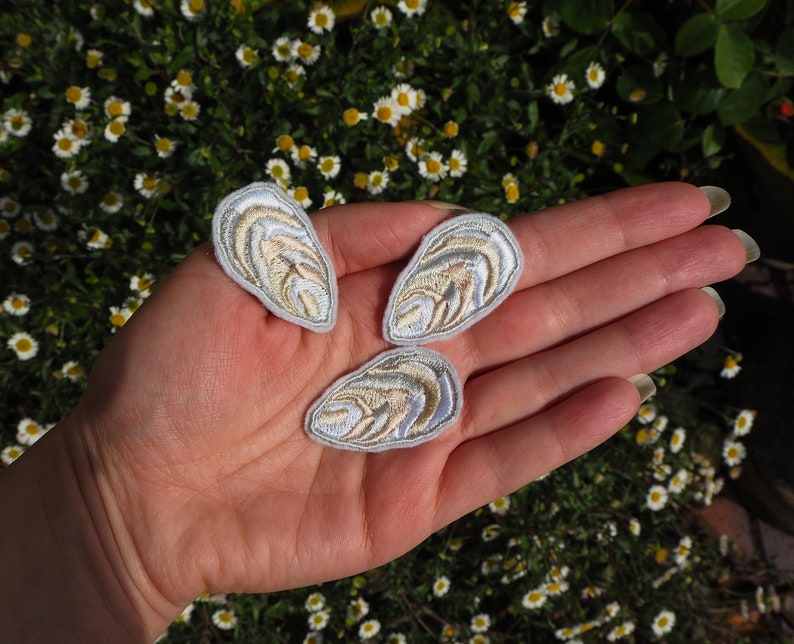 Mini Oyster Shell Patches - Set of 3! - Etsy