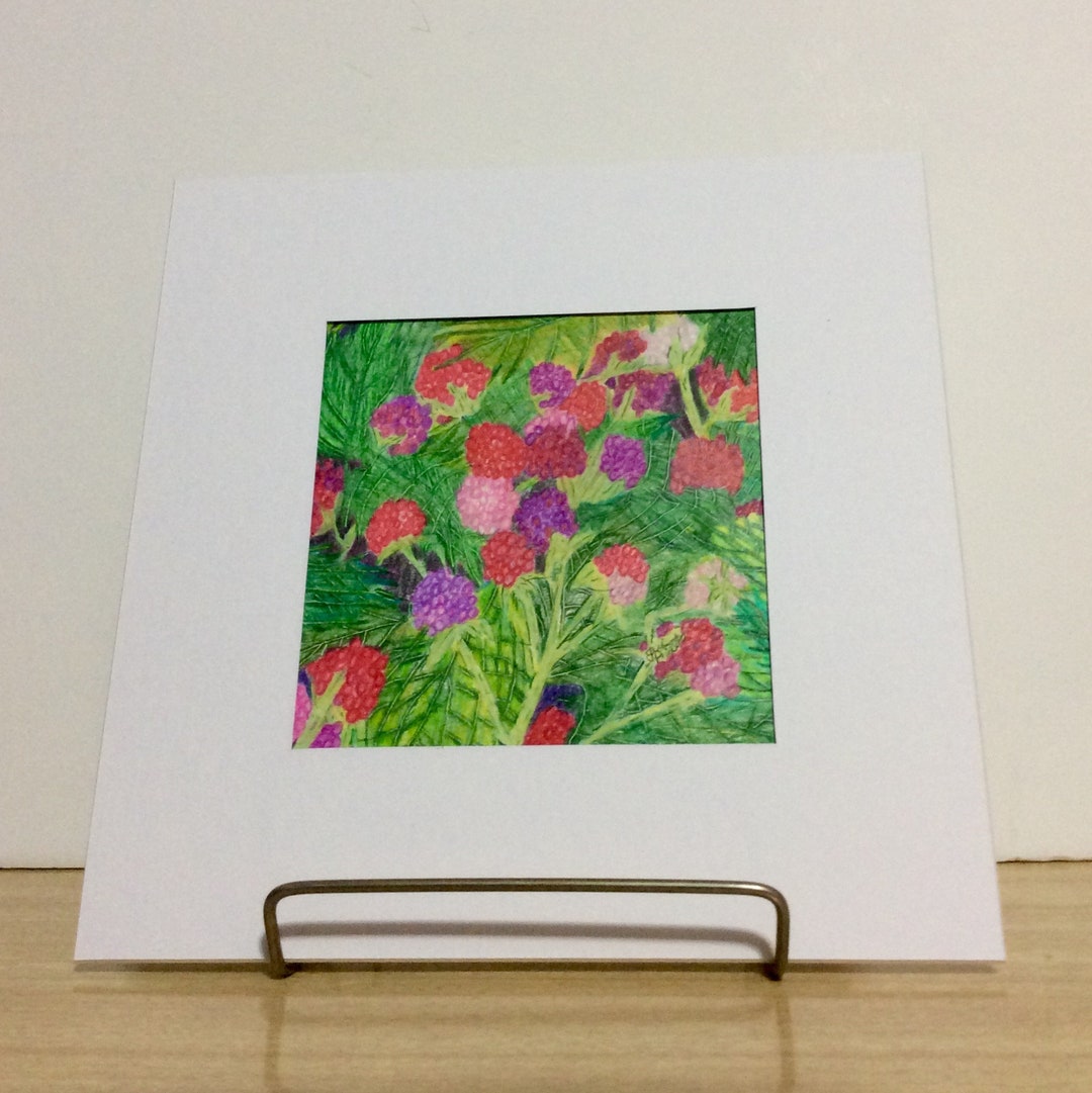 Original Matted Raspberry Art, Restaurant Decor, Kitchen Decoration ...